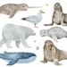 Watercolor Arctic Animals Clipart, Cute Polar Bear, Seal, Penguin ...