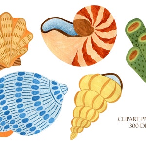 Seashell Clipart, Gouache Clipart, Ocean Clipart, Summer Clipart ...