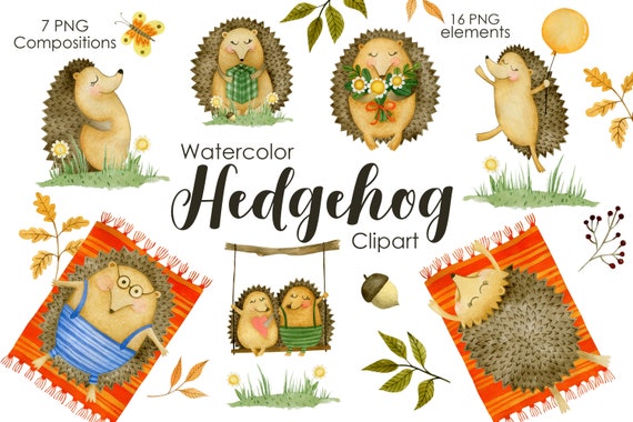 Watercolor Hedgehogs Clipart Woodland Animal Clipart Baby - Etsy