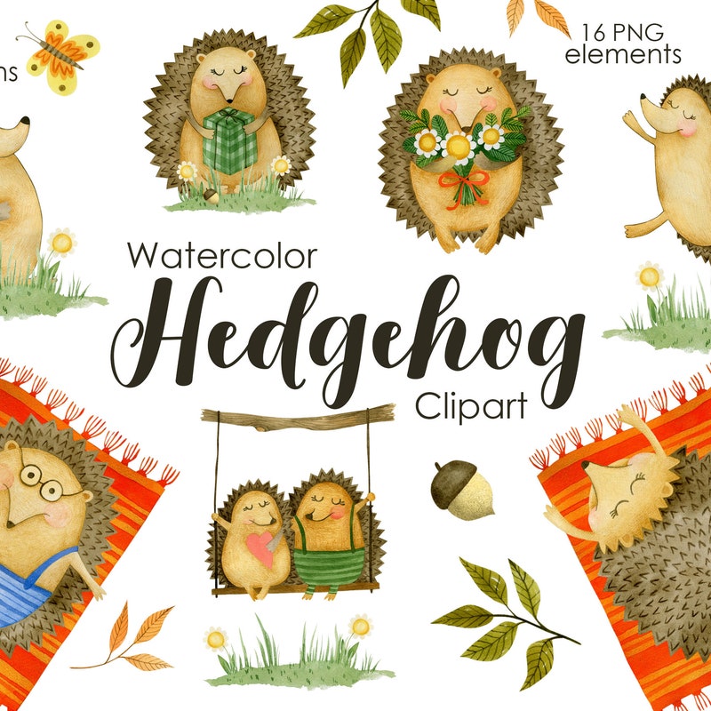 Hedgehog Clip Art - Etsy