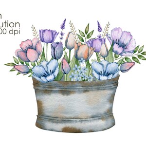 Watercolor Tulip Clipart, Mother's Day Decor, Tulip Compositions ...