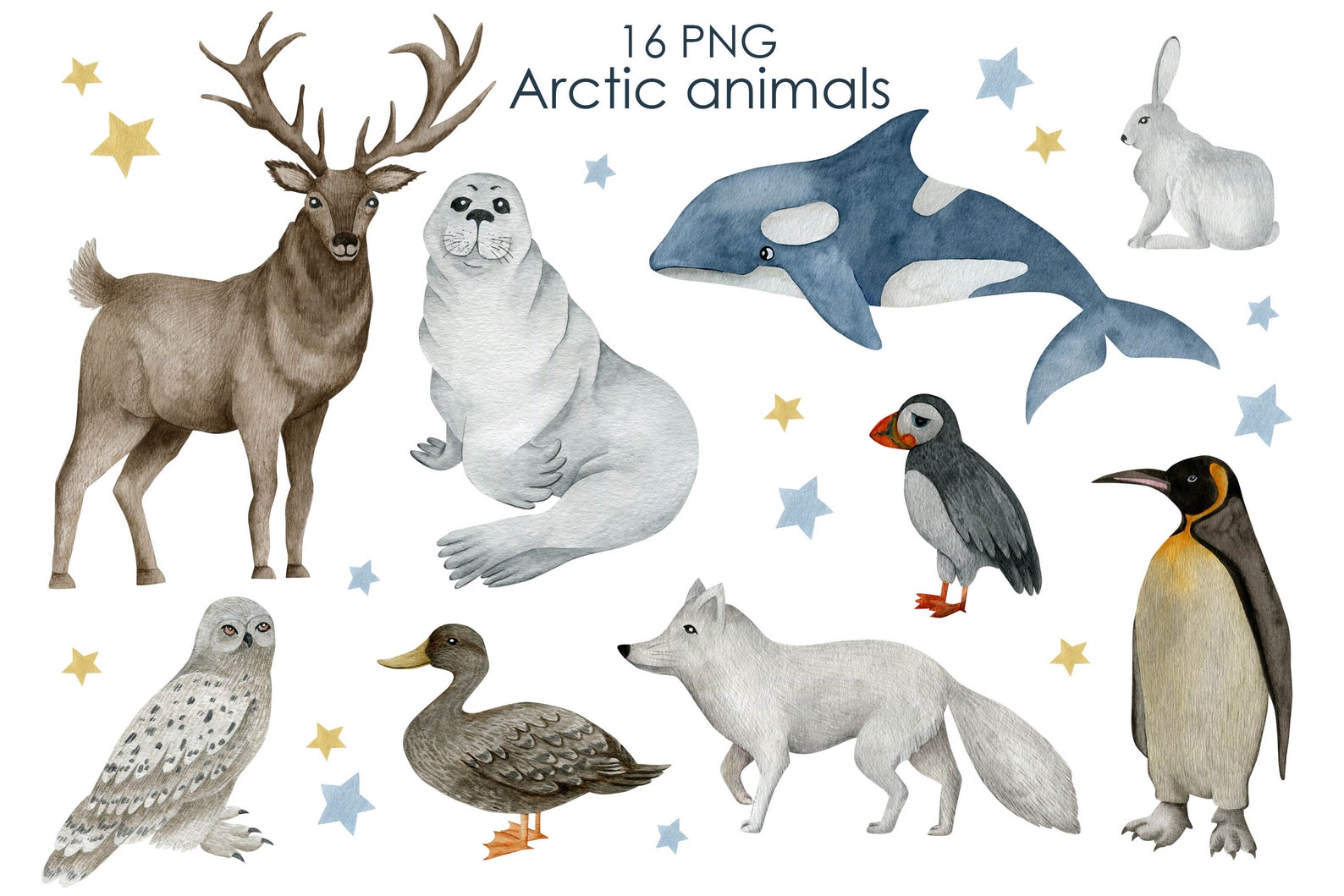 Watercolor Arctic Animals Clipart, Cute Polar Bear, Seal, Penguin ...