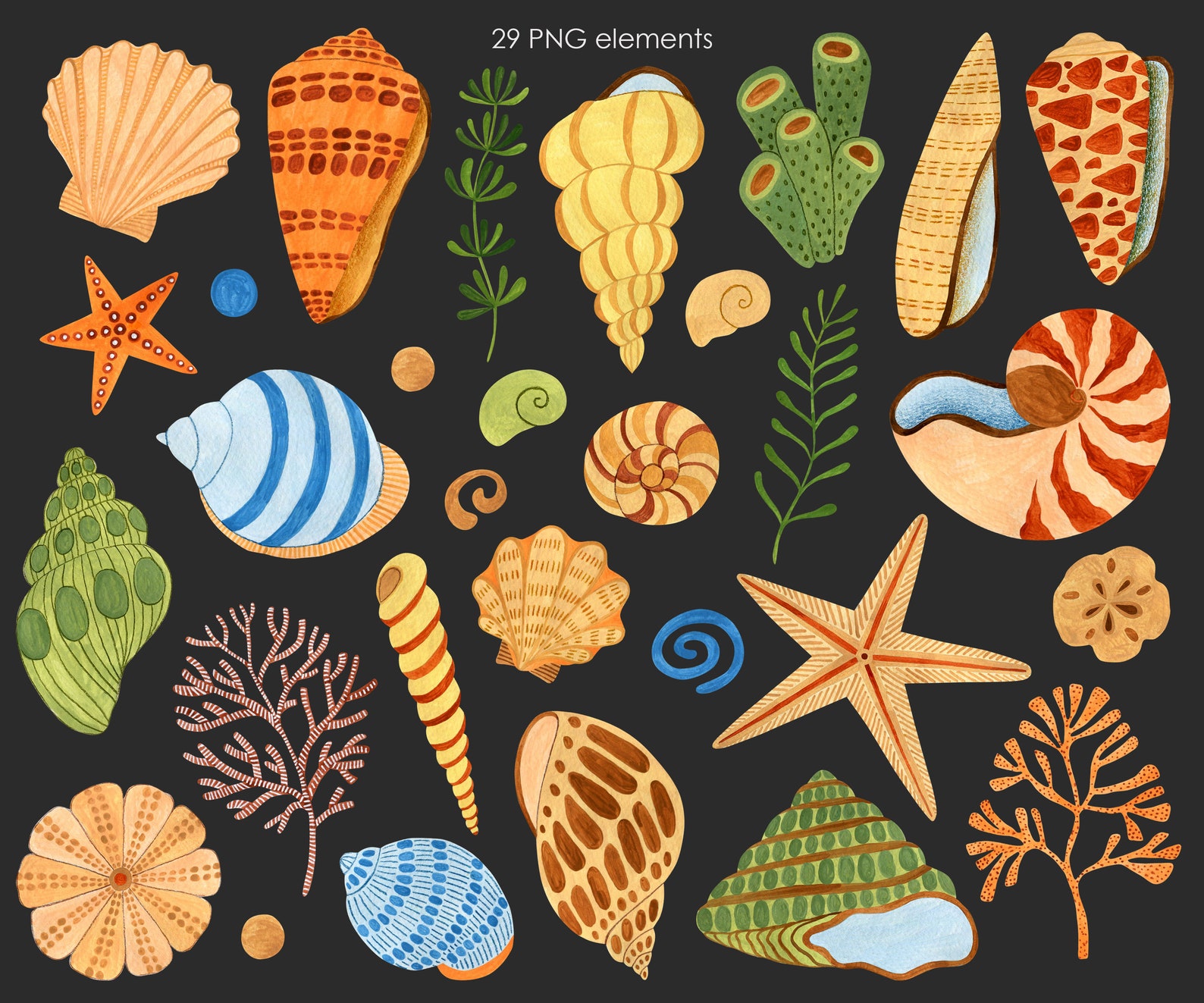 Seashell Clipart, Gouache Clipart, Ocean Clipart, Summer Clipart ...