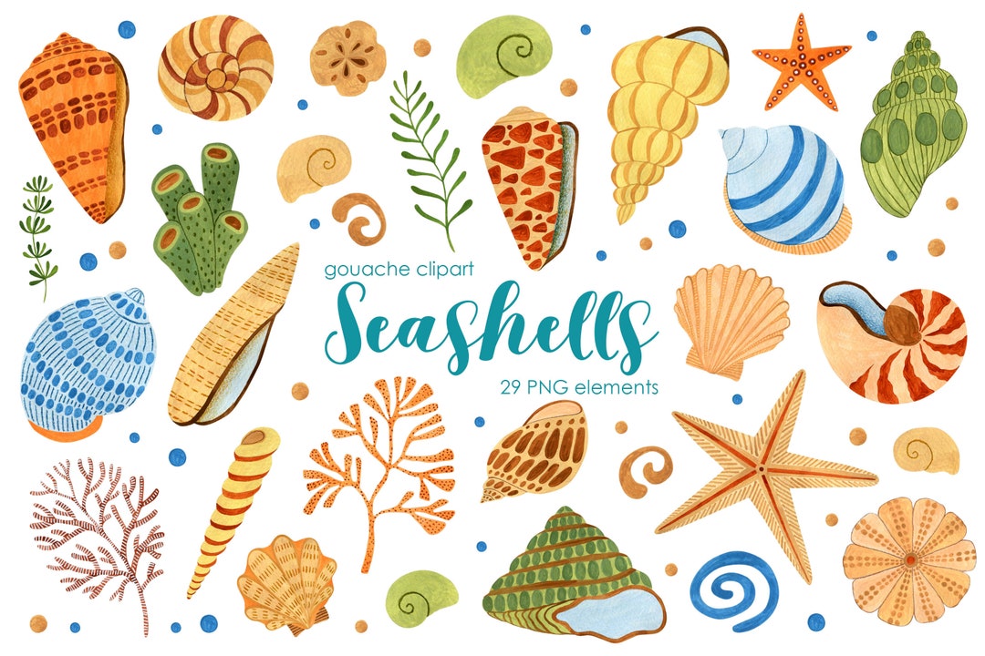 Seashell Clipart, Gouache Clipart, Ocean Clipart, Summer Clipart ...