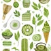 Watercolor Green Tea Clipart, Matcha Download, Instant Download, Matcha ...