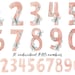 Watercolor Pink Numbers Clipart, Number Clipart, Girls Symbols, Digital ...