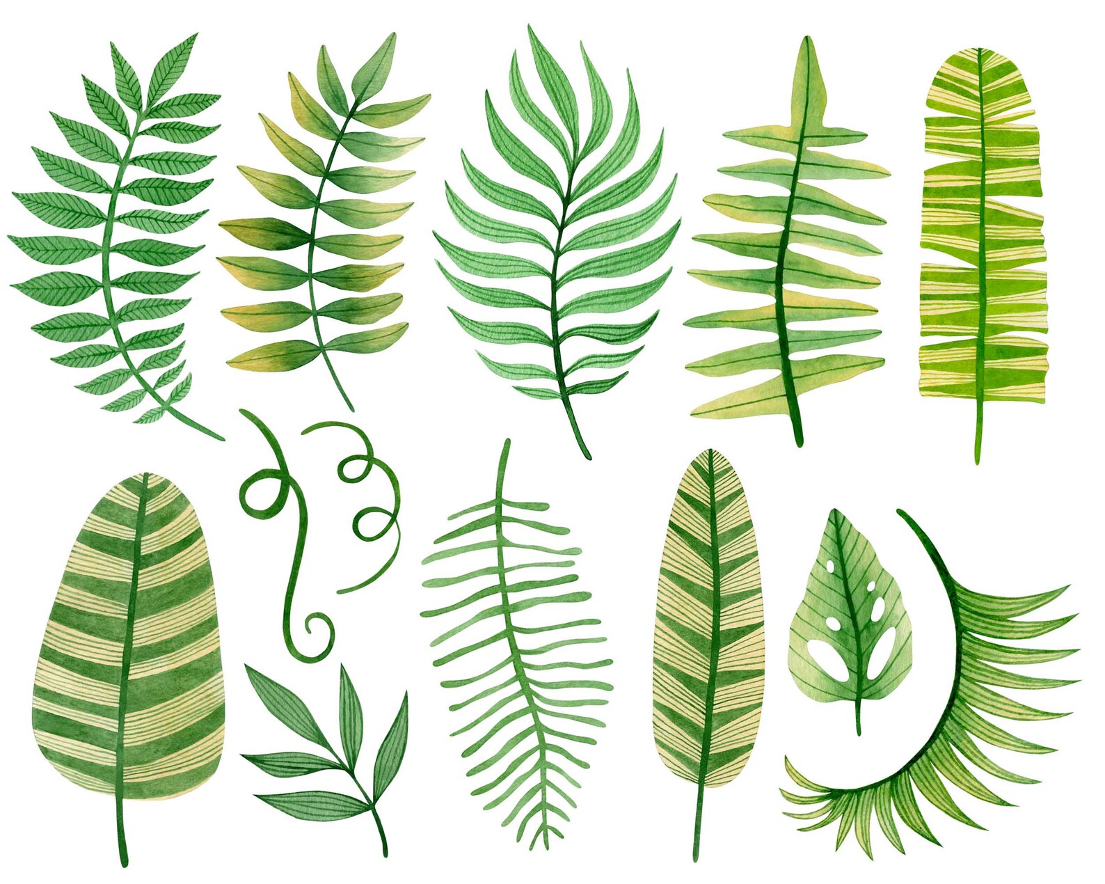 Watercolor Tropical Leaves Clipart Tropical Elements Set - Etsy