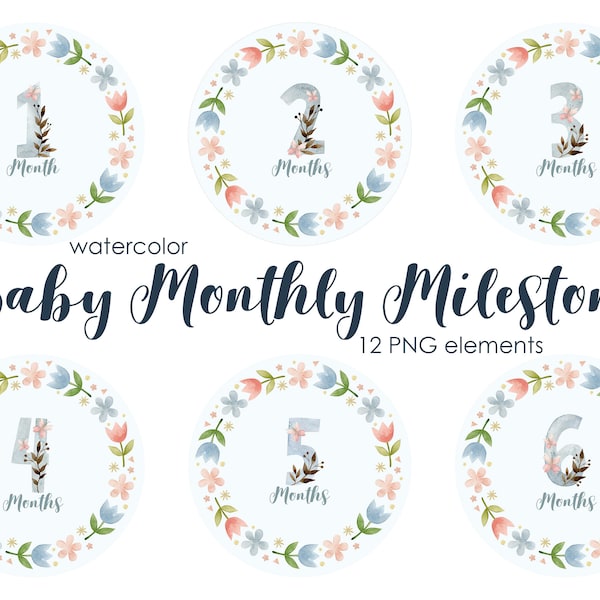 Monthly Stickers Boy - Etsy