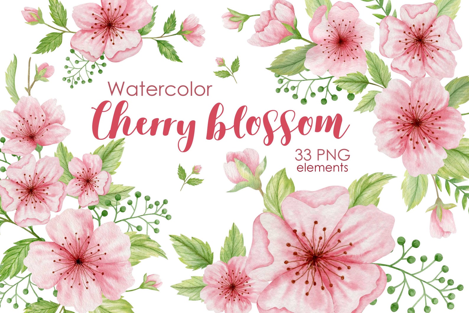 Watercolor Cherry Blossoms Clipart, Spring Blooming, Sakura, Floral ...