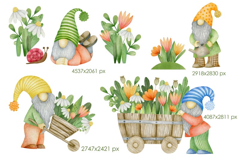 Watercolor Gnome Garden Clipart: Spring Flower PNG Graphics (digital ...