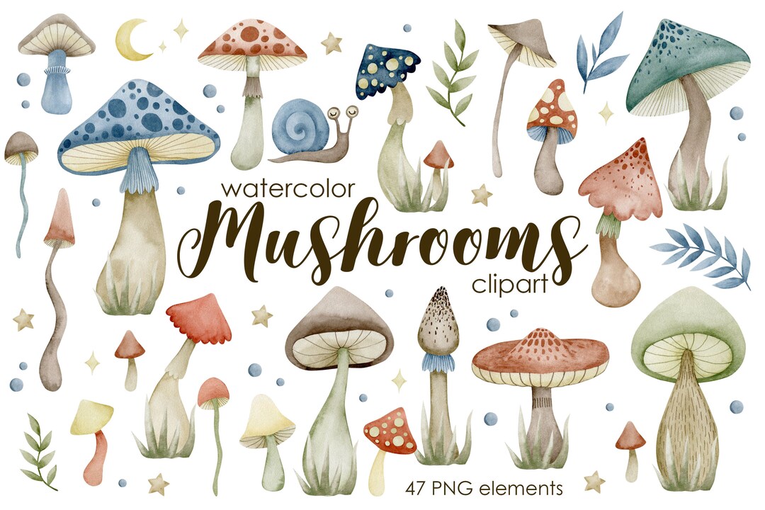 Watercolor Mushrooms Clipart: Fantasy Forest PNG Images (instant ...