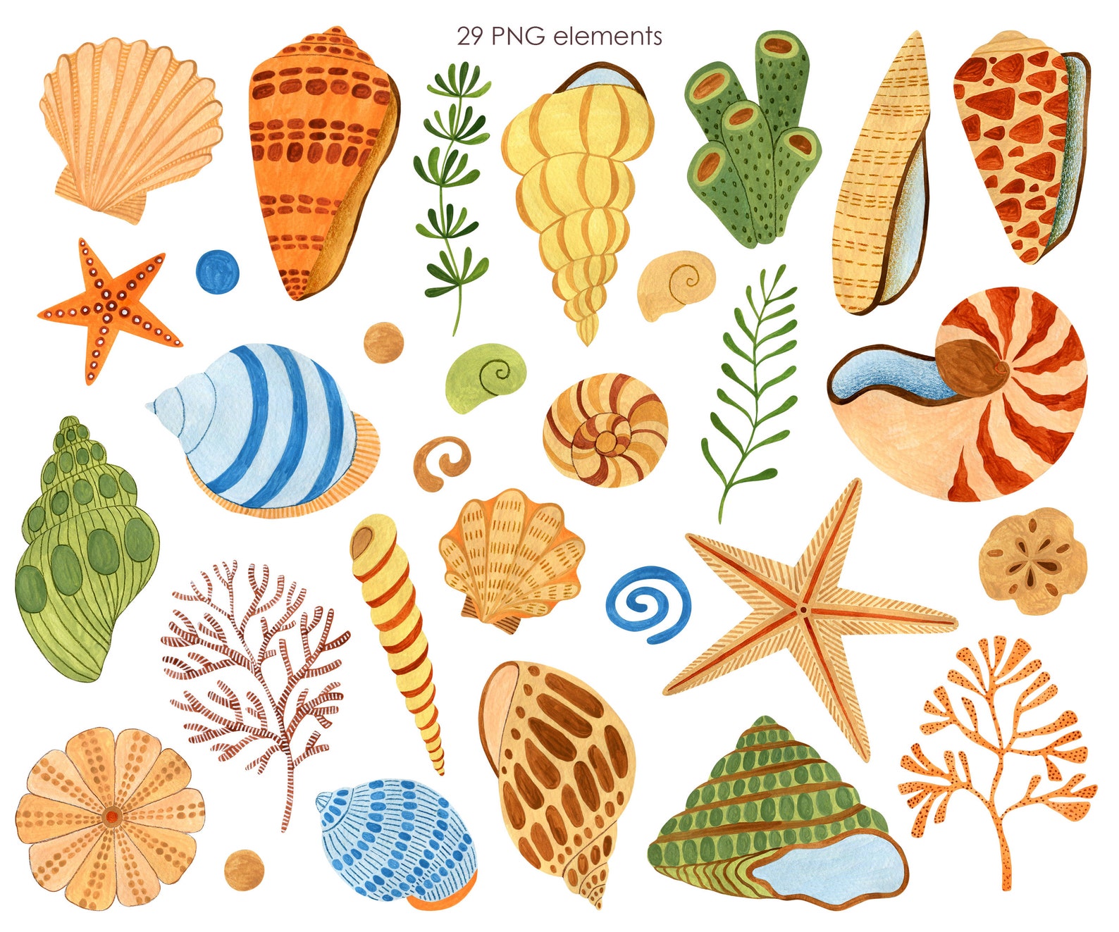 Seashell Clipart, Gouache Clipart, Ocean Clipart, Summer Clipart ...