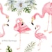 Watercolor Flamingo Clipart, Tropical Summer Clipart, Tropical Floral ...