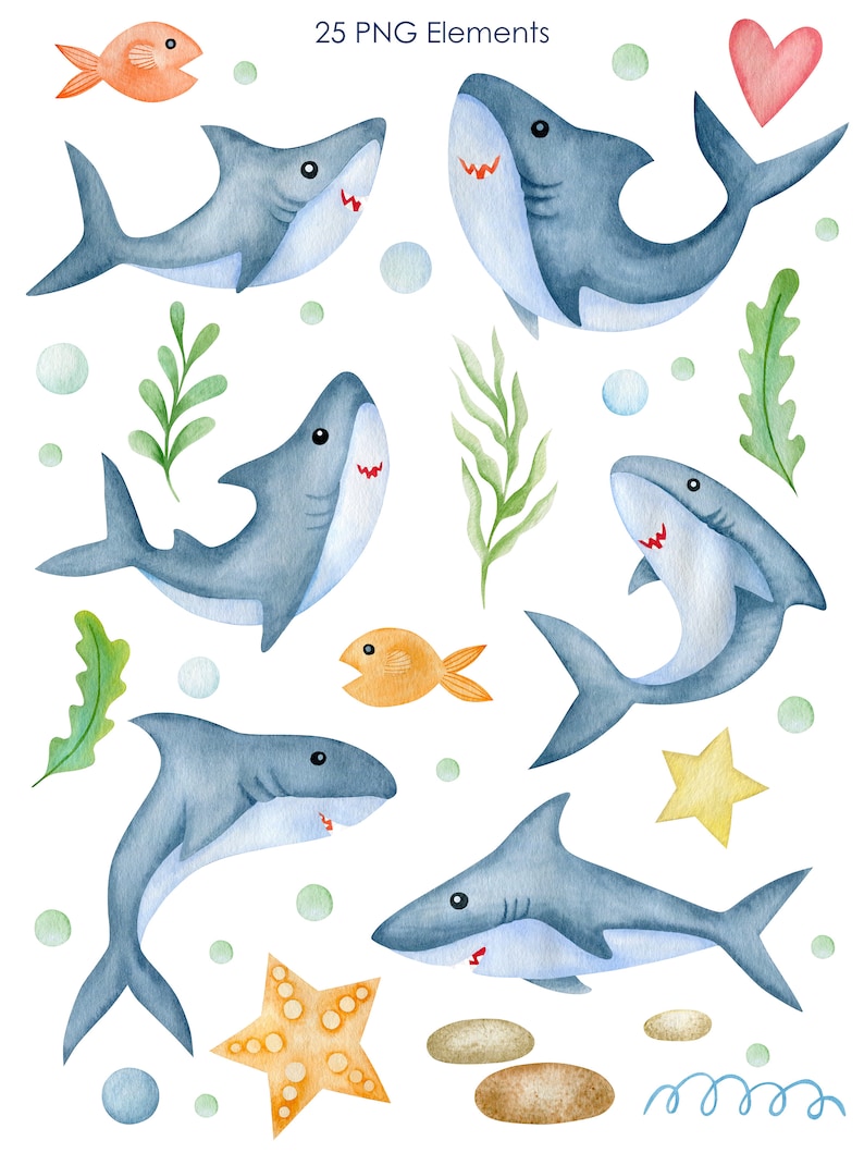 Watercolor Shark Clipart Ocean Life Sea Animals Instant - Etsy