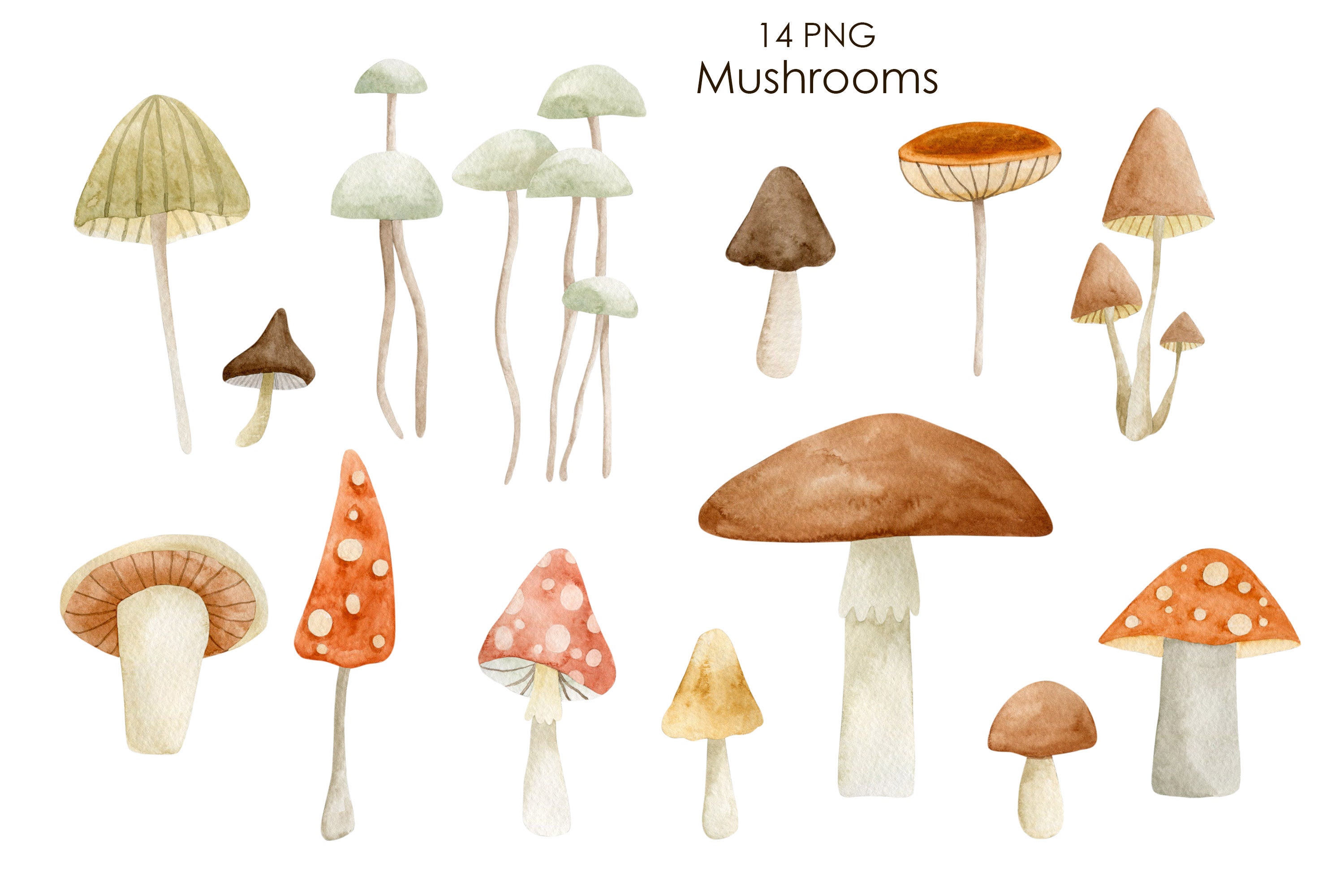 Watercolor Autumn Forest Clipart Mushroom Clipart Fall - Etsy