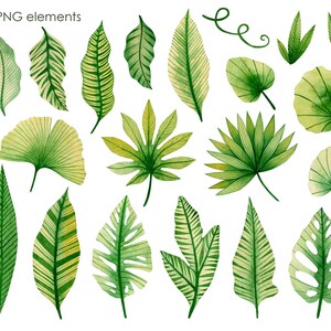 Watercolor Tropical Leaves Clipart, Tropical Elements Set, Scrapbook ...