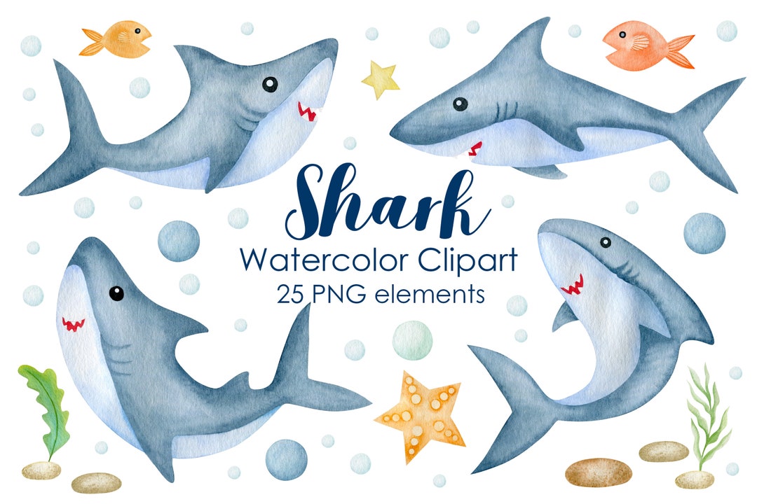 Watercolor Shark Clipart, Ocean Life, Sea Animals, Instant Download ...