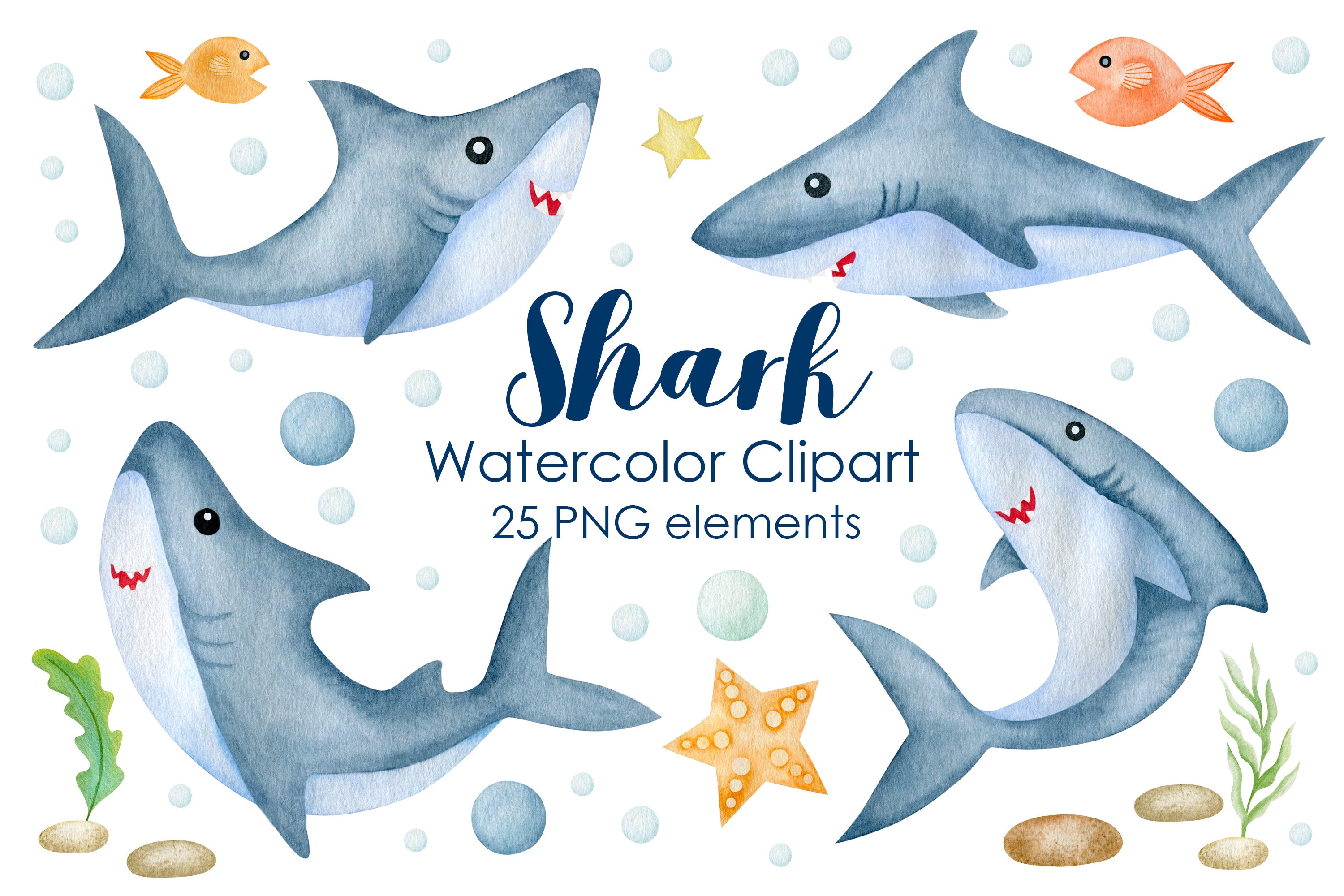 Watercolor Shark Clipart Ocean Life Sea Animals Instant - Etsy Canada