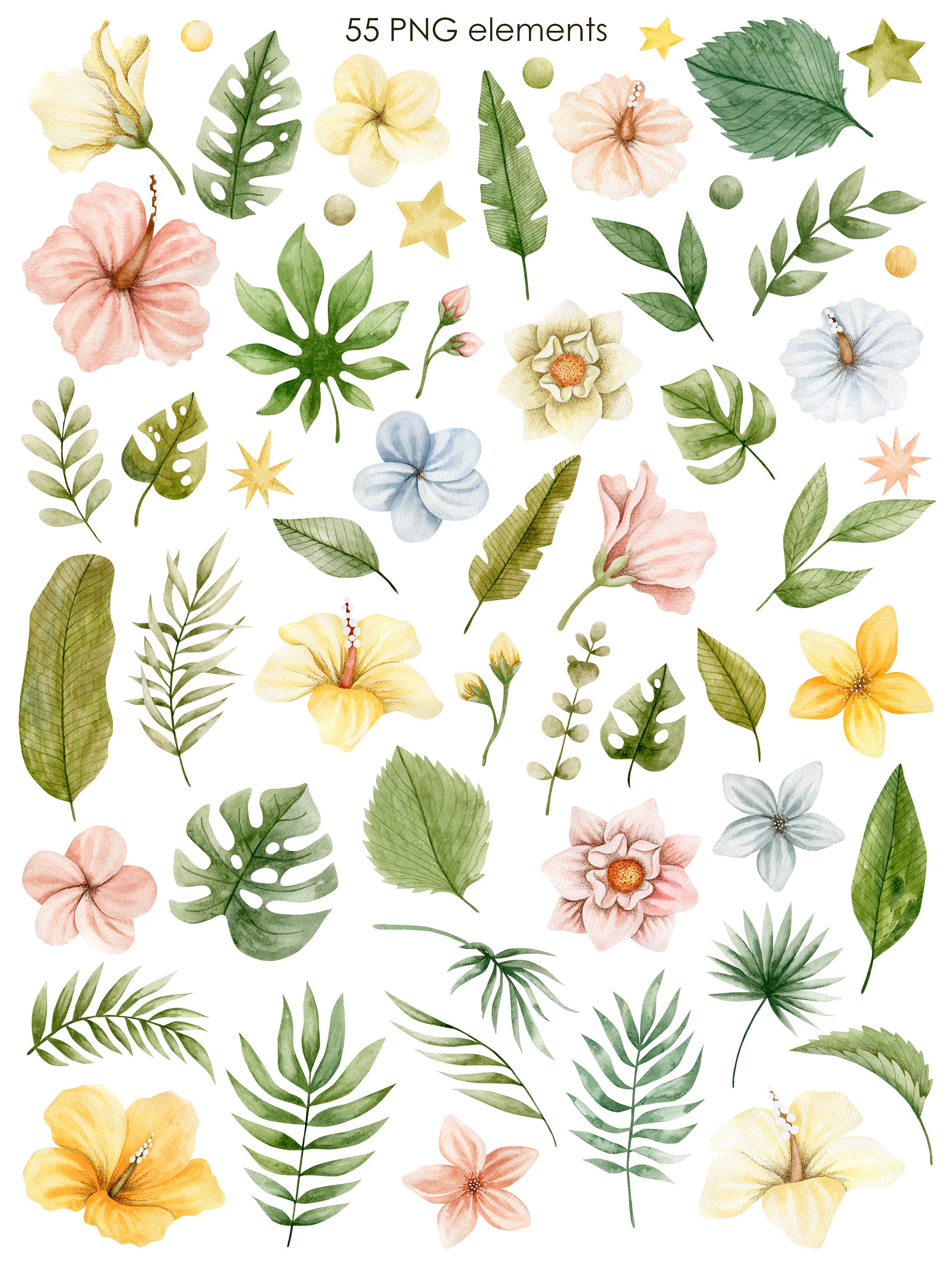 Watercolor Tropical Leaves and Flowers Clipart Monstera - Etsy