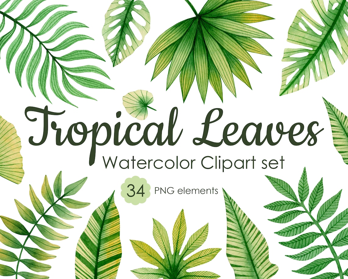 Watercolor tropical leaves clipart Digital paper pack Leaves | Etsy