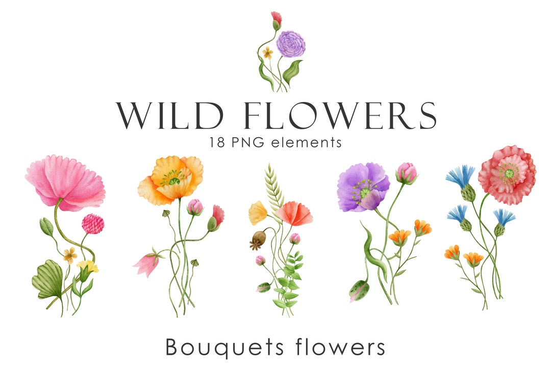 Watercolor Wildflower Clipart: Botanical PNG Flower Bouquets (digital ...