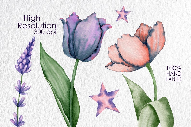 Watercolor Tulip Clipart, PNG, Tulips Clip Art, Hand Painted Tulips ...