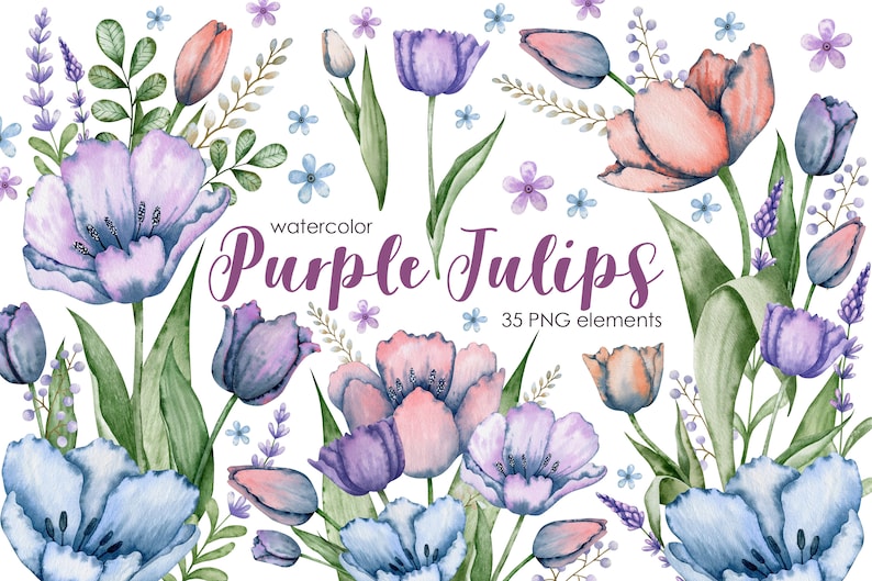 Watercolor Tulip Clipart, PNG, Tulips Clip Art, Hand Painted Tulips ...