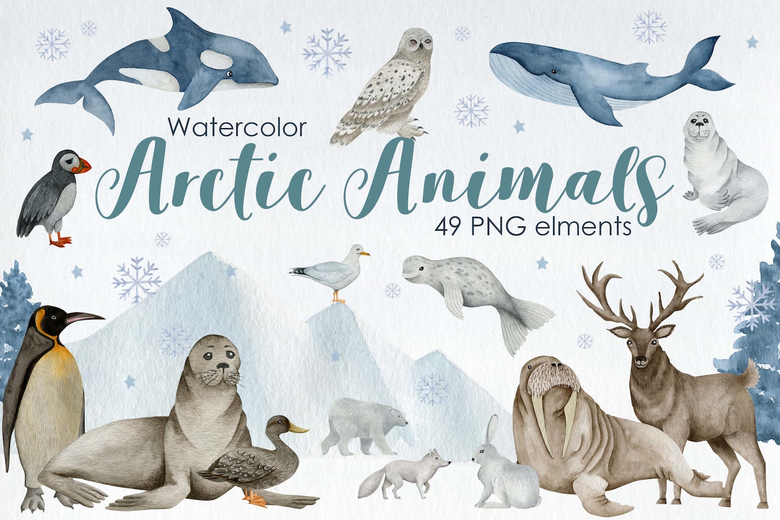Watercolor Arctic Animals Clipart, Cute Polar Bear, Seal, Penguin ...