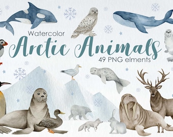 Arctic Animals Clipart Winter Animals Clip Art Polar Bear Penguin Seal ...