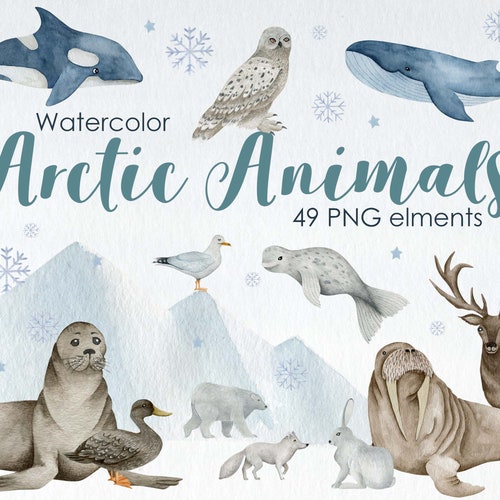 Watercolor Arctic Animals Clipart Cute Polar Bear Seal - Etsy