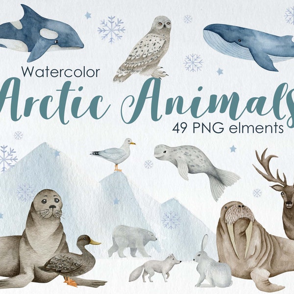 Cute Animal Clipart - Etsy