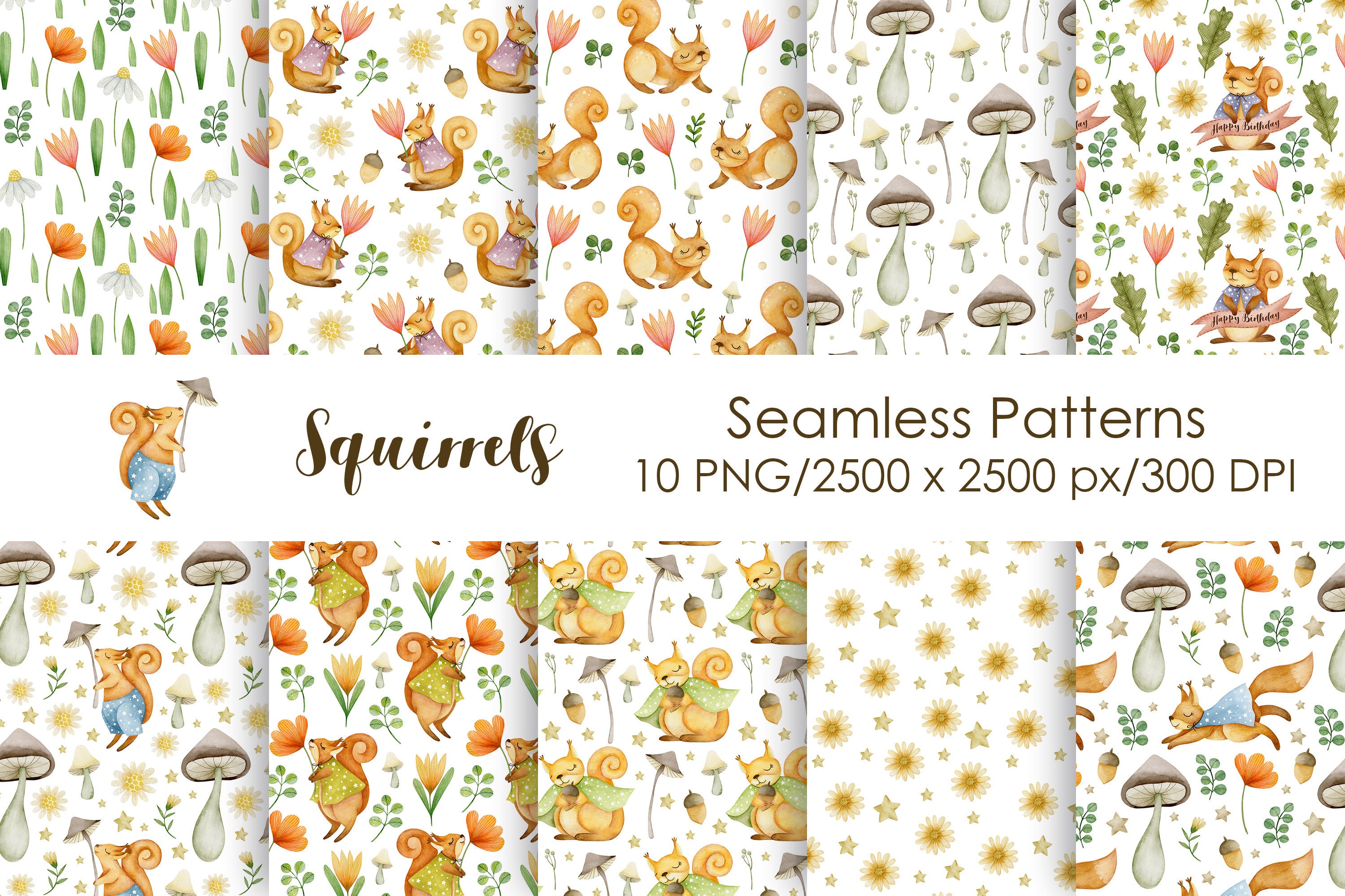 Watercolor Squirrel Squirrels Digital Paper Pack Cute - Etsy