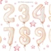 Watercolor Number Pink Balloons Clipart, Planner Stickers, Birthday ...