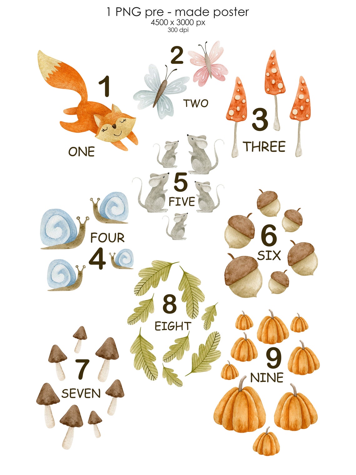 Watercolor Pink Numbers Clipart Number Clipart Girls - Etsy