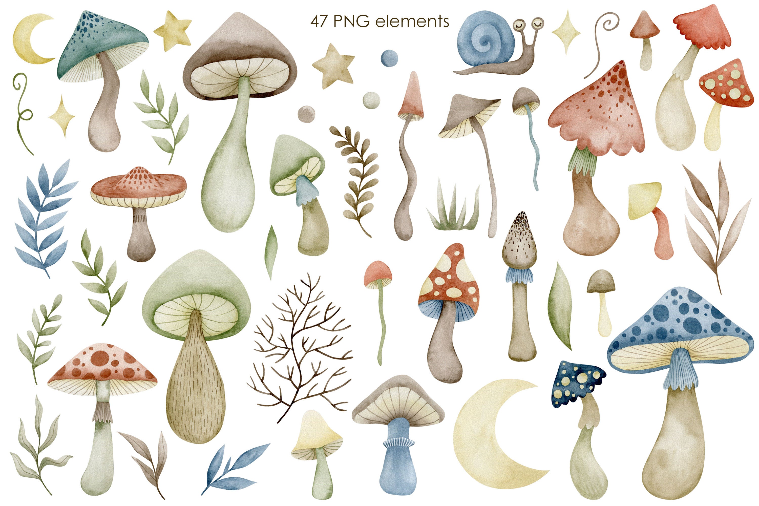 Watercolor Mushrooms Clipart: Fantasy Forest PNG Images (instant ...