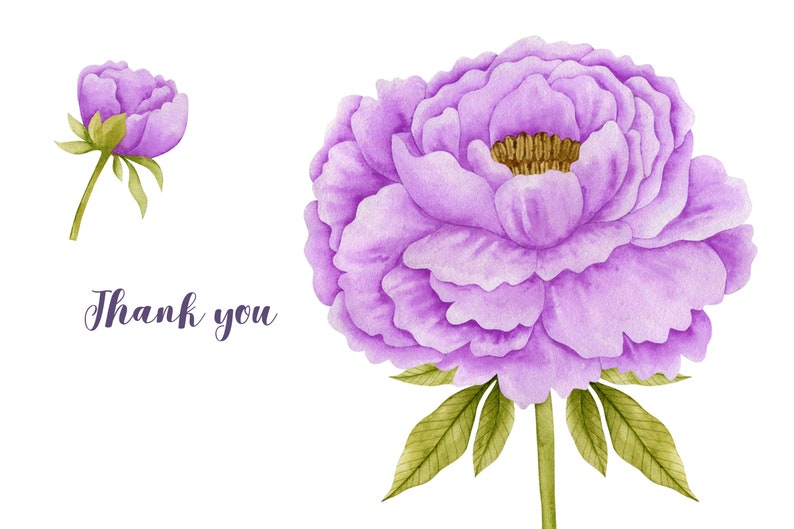 Watercolor Peonies Clipart, Spring Wedding Flowers, Coral, Pink, Blue ...