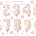Watercolor Number Pink Balloons Clipart, Planner Stickers, Birthday ...