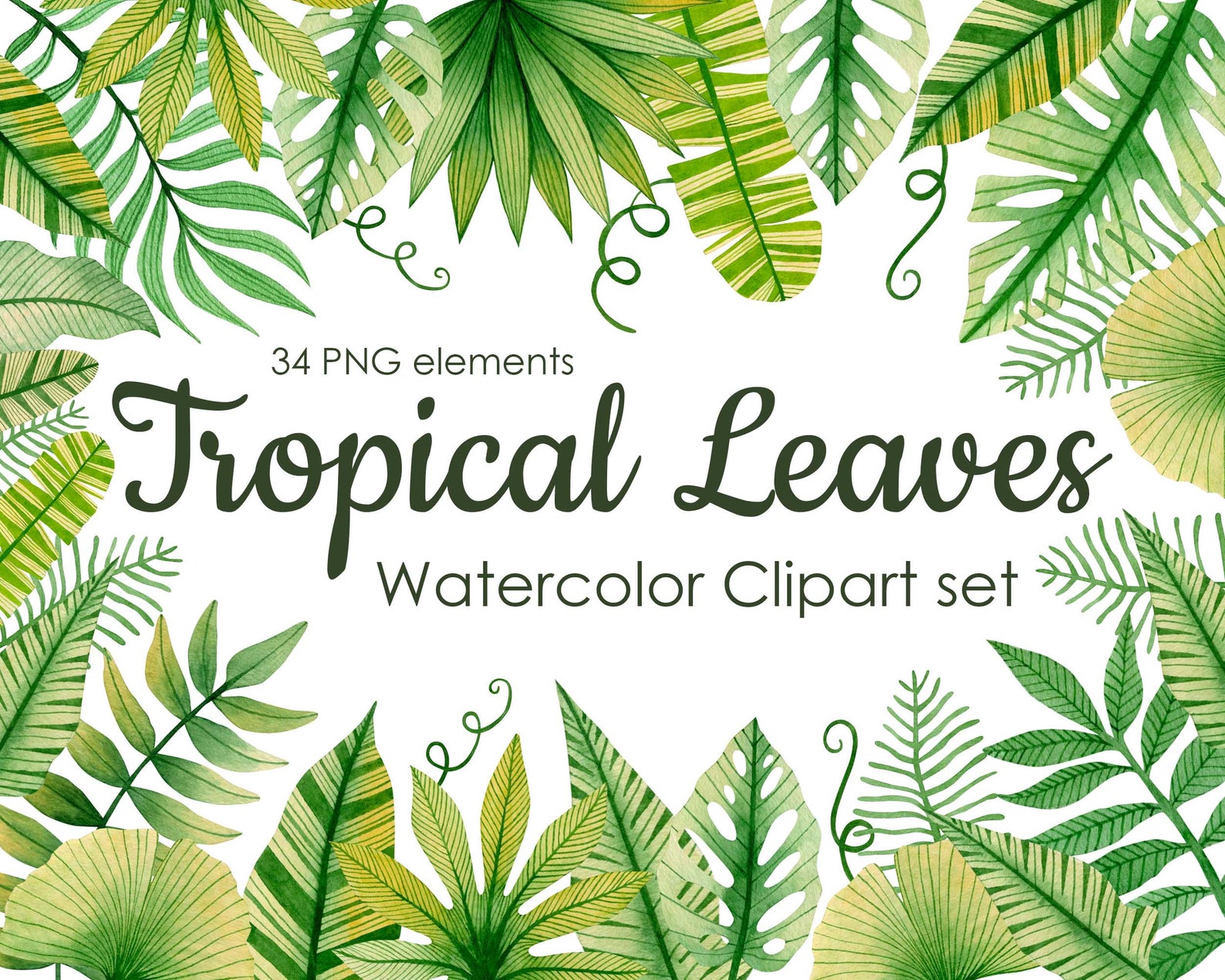 Watercolor Tropical Leaves Clipart Tropical Elements Set - Etsy