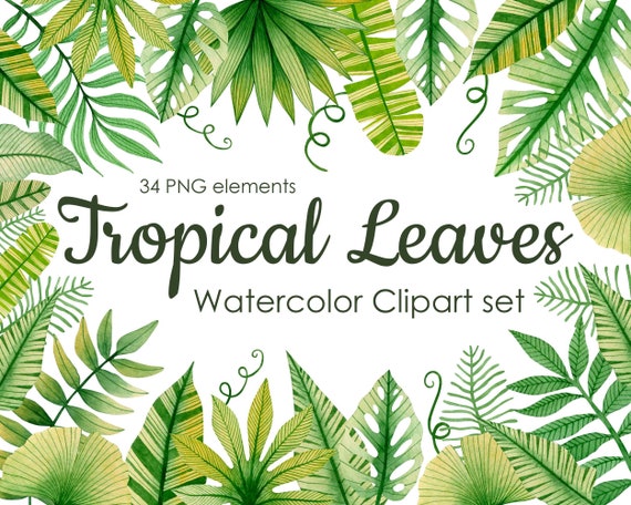 Watercolor Tropical Leaves Clipart Tropical Elements Set | Etsy