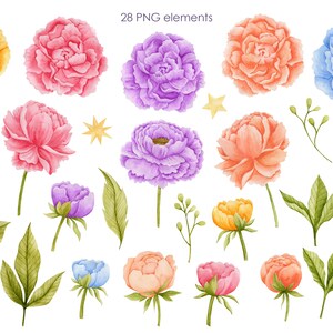 Watercolor Peonies Clipart: Spring Wedding Flowers (instant Download ...