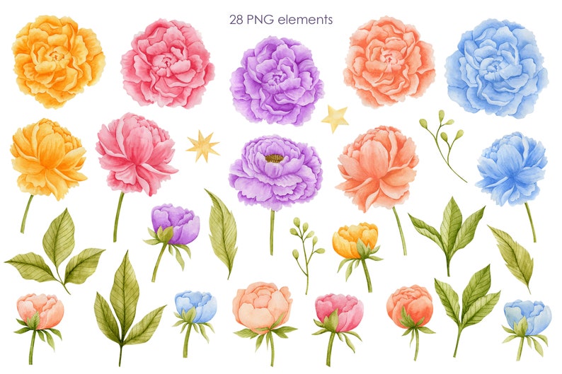 Watercolor Peonies Clipart, Spring Wedding Flowers, Coral, Pink, Blue ...