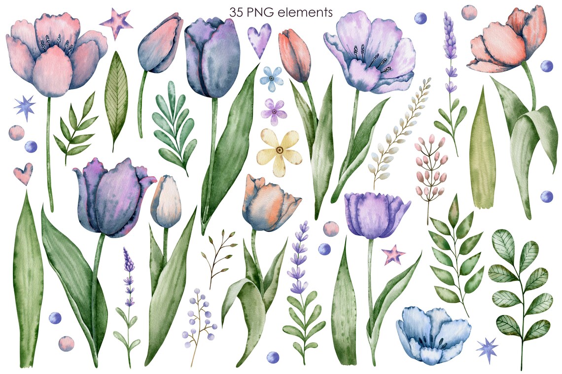 Watercolor Tulip Clipart, PNG, Tulips Clip Art, Hand Painted Tulips ...