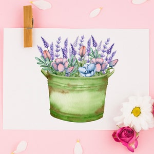 Watercolor Tulip Clipart, Mother's Day Decor, Tulip Compositions ...