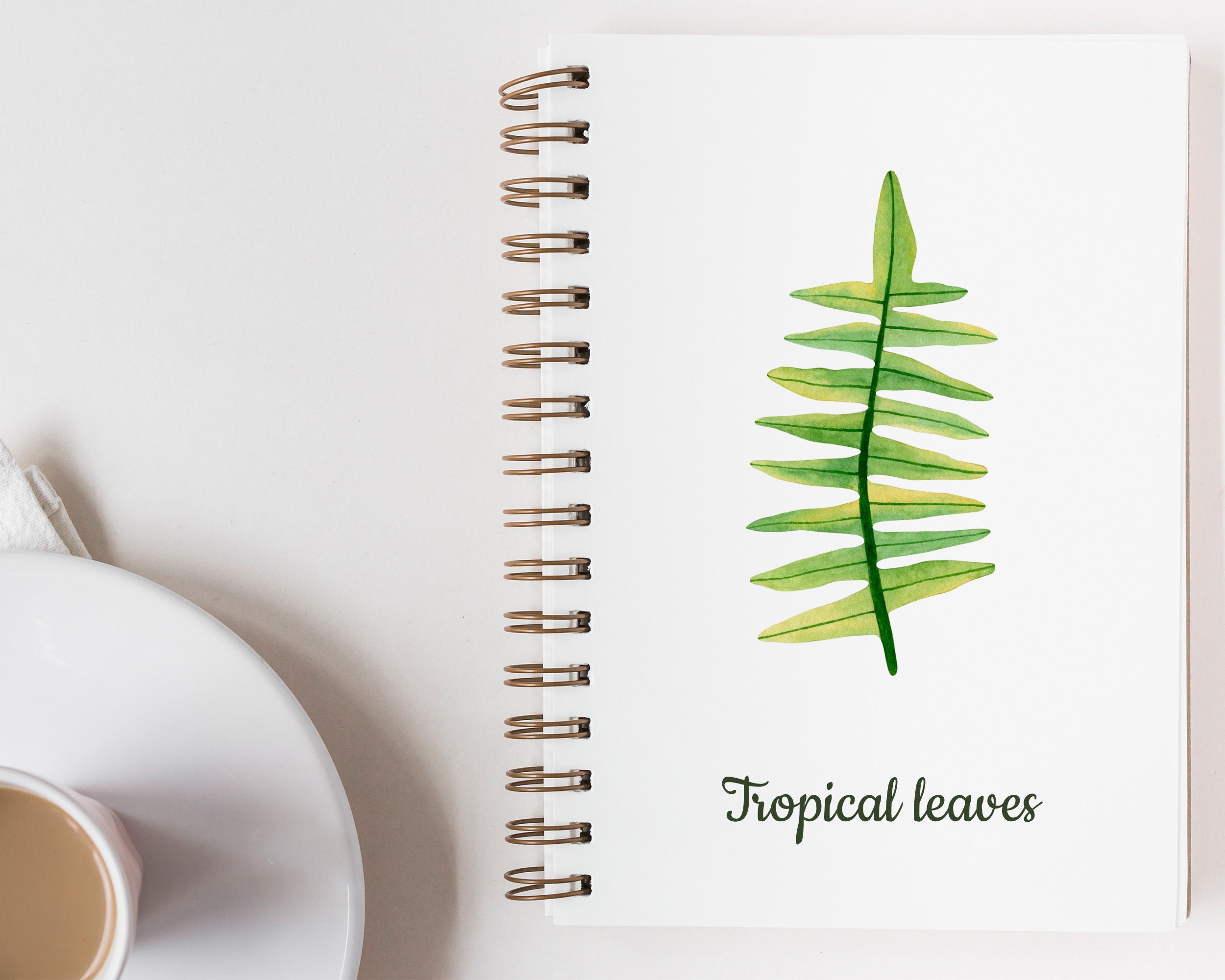 Watercolor Tropical Leaves Clipart Tropical Elements Set | Etsy