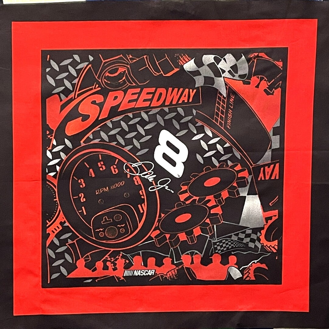 Rare Dale Earnhardt 16 X 16 Fabric Panel With Monte Carlo NASCAR ...