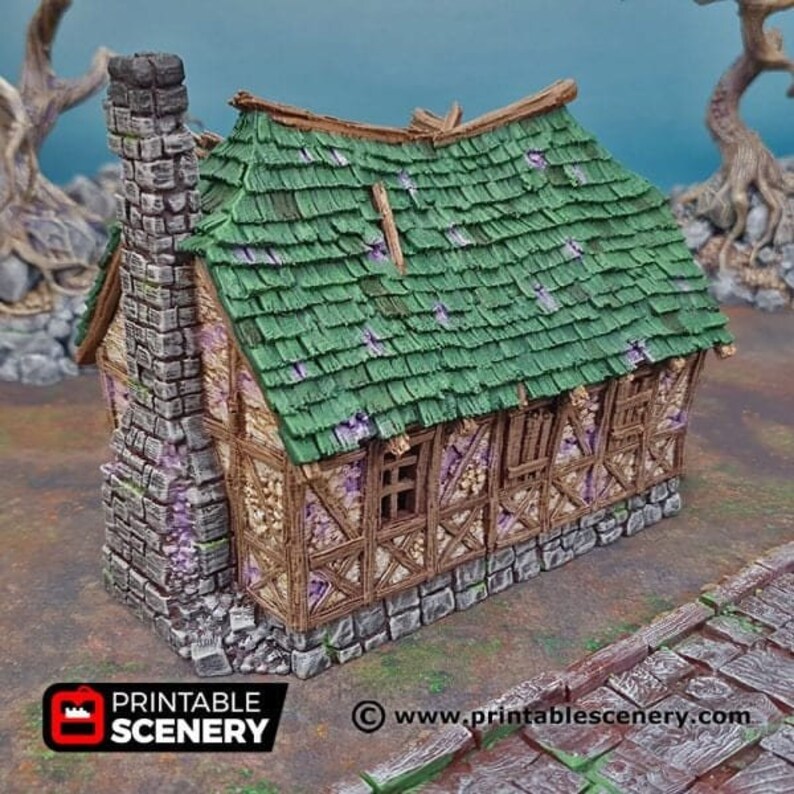 Mimic House - Fantasy Building - Shadowfey Fantasy Terrain DND Aos ...