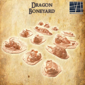 Dragon Boneyard - DND Aos Pathfinder Conquest Miniatureland Tabletop ...