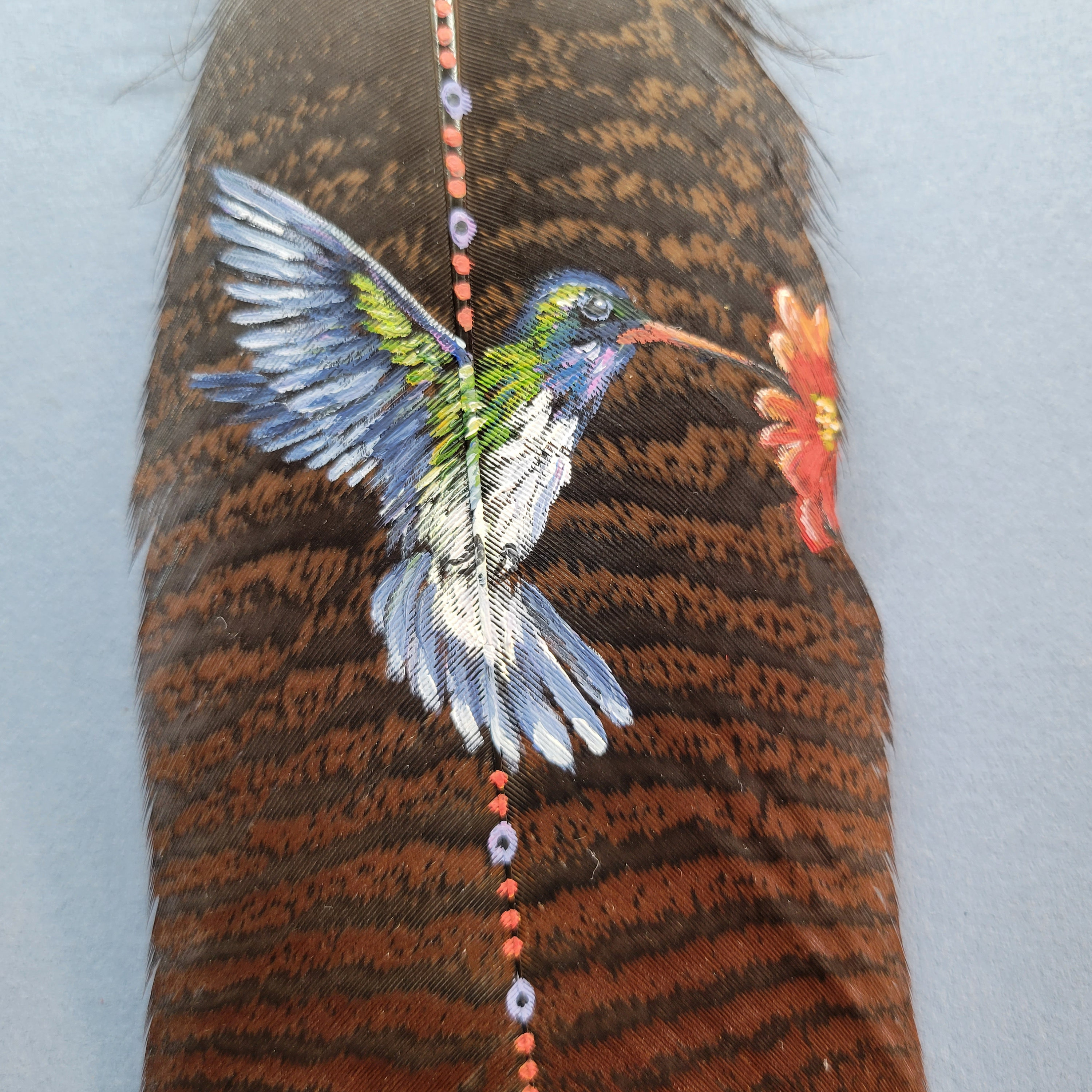 Hummingbird Spirit Feathers, Feather Art, Painted Feathers, Animal ...