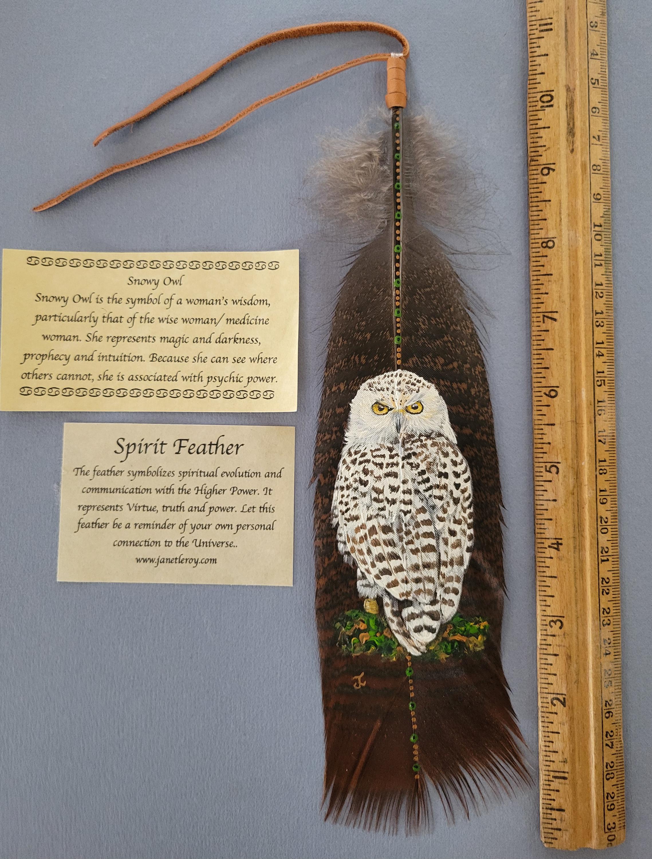 Owl Spirit Feathers, Feather Art, Painted Feathers, Animal Totems - Etsy