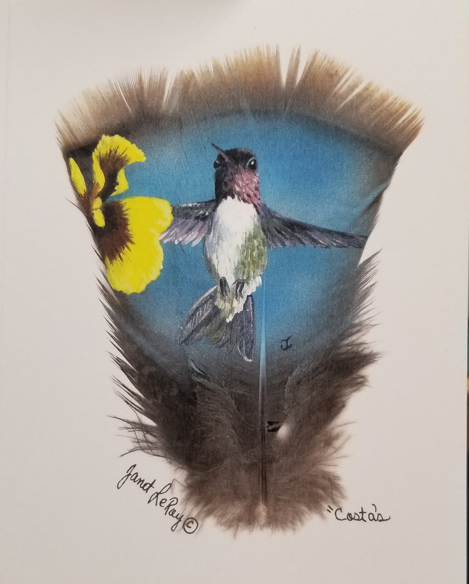 Hummingbirds Variety Blank Note Cards, Set of 6 Hummingbird Prints ...